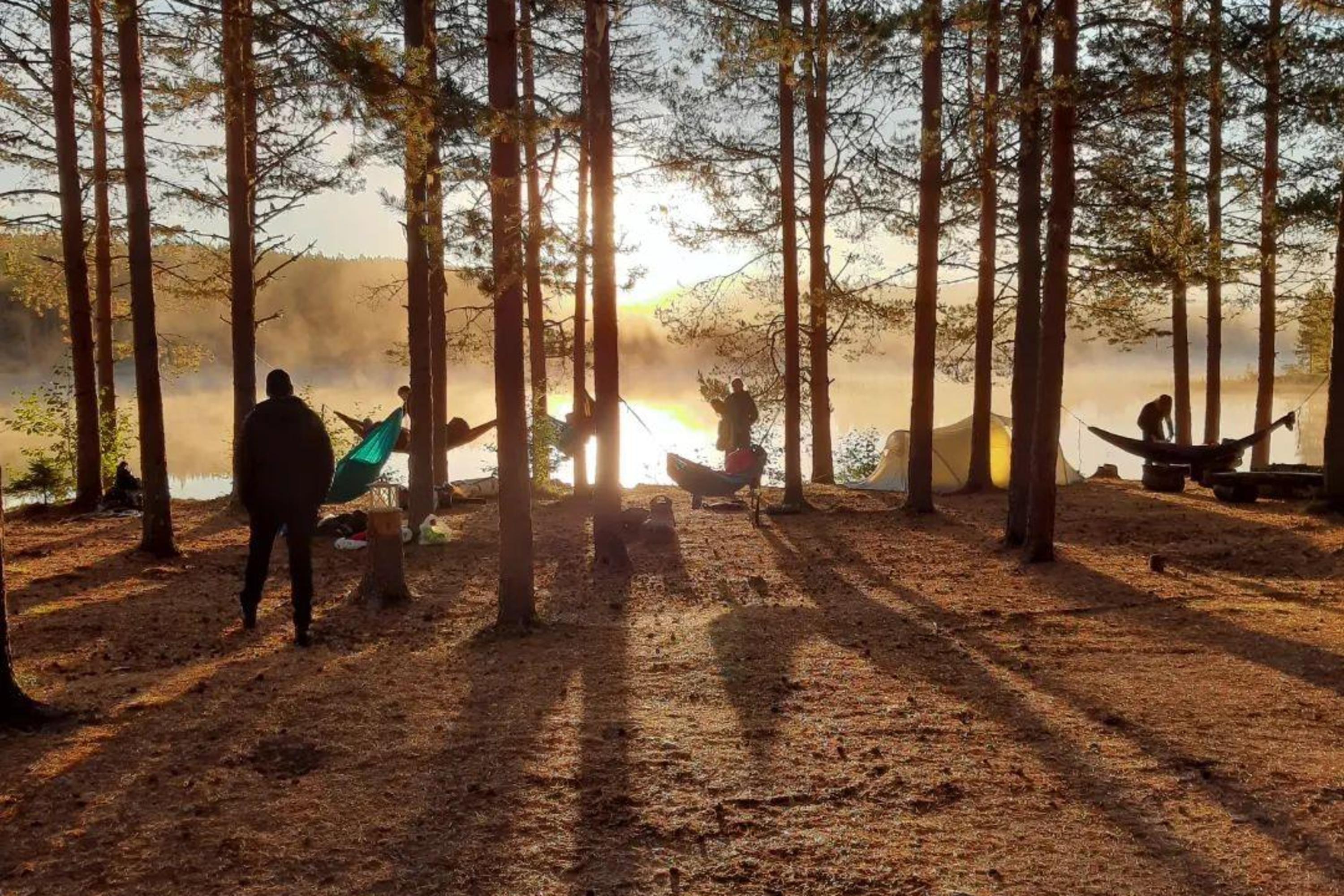 The Finnish Forrest - Visit Øst-Norge